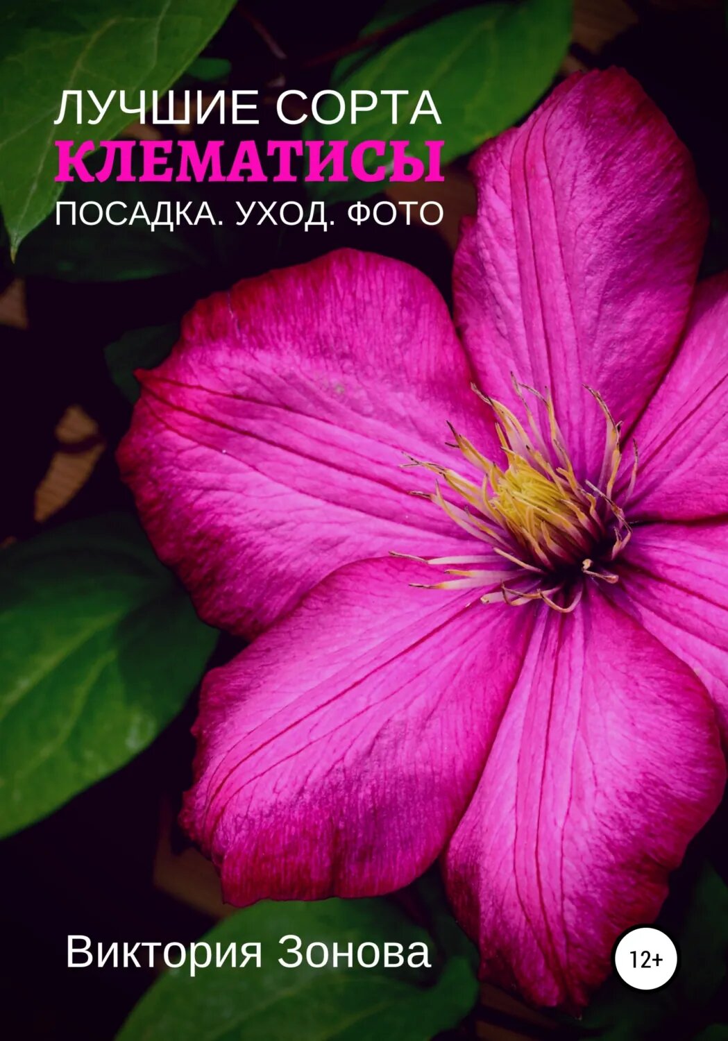 Клематисы. Лучшие сорта [Цифровая книга]
