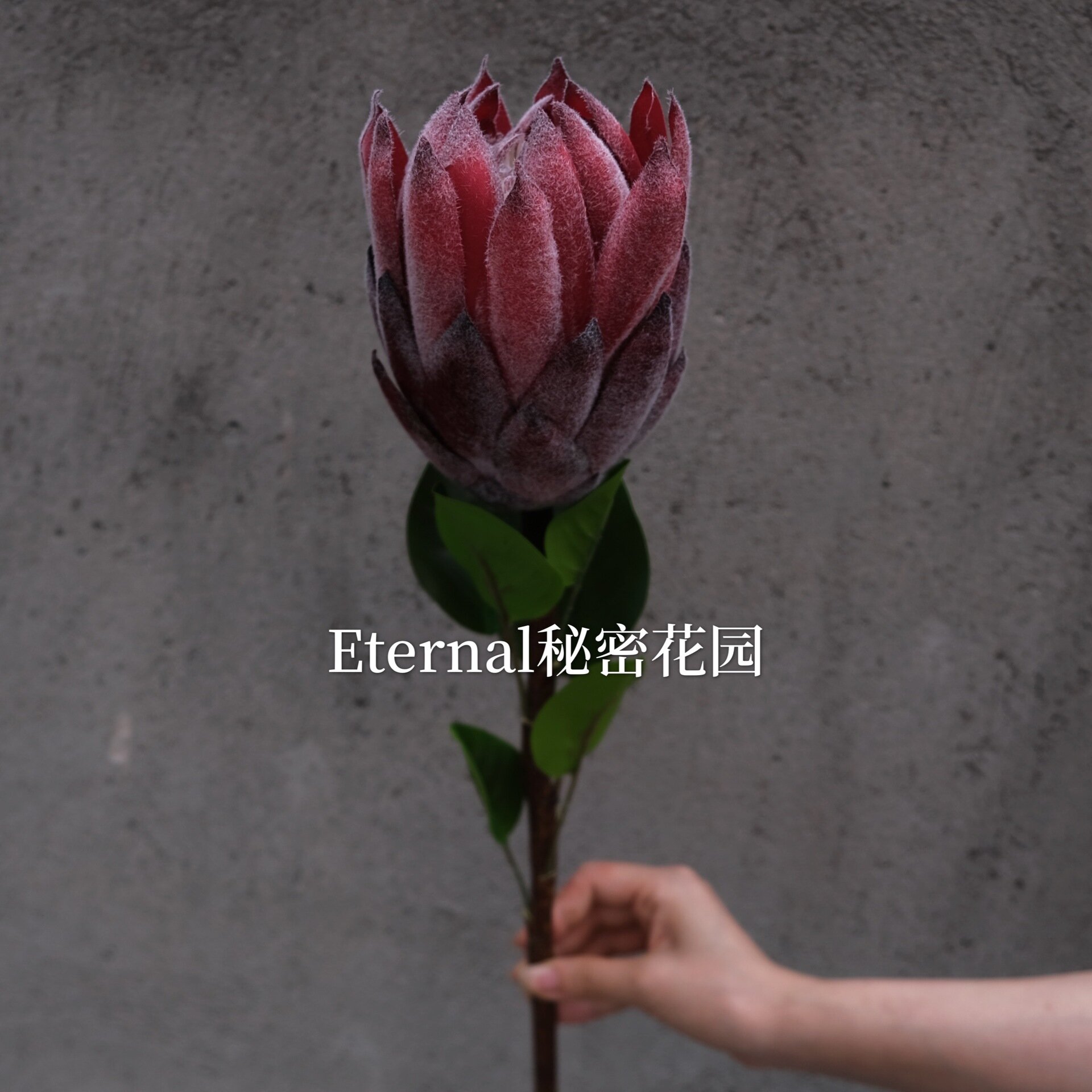 Флокированная одиночная ветка императорского цветка, южноафриканский принцесса цветок, подушка для булавок, цветок высокого класса, искусственный цветок для дома, цветок для лобби отеля