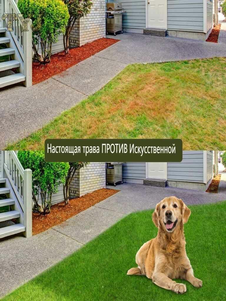 Искусственная трава — фото 1