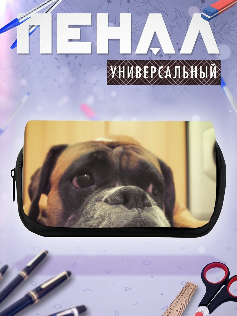 Школьный пенал боксер собака породы