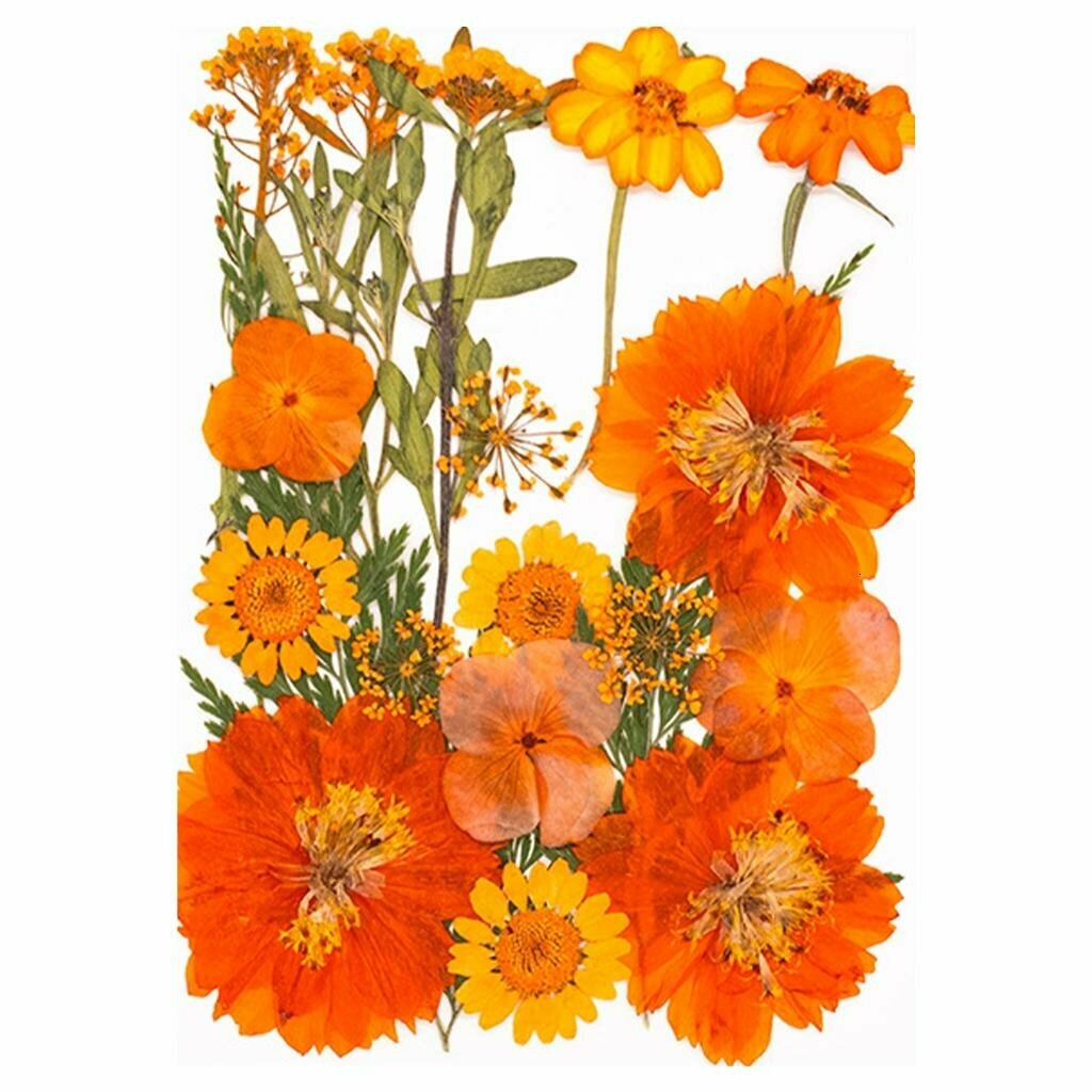 Набор сухоцветов для свечей, эпоксидной смолы, бижутерии, Модель А