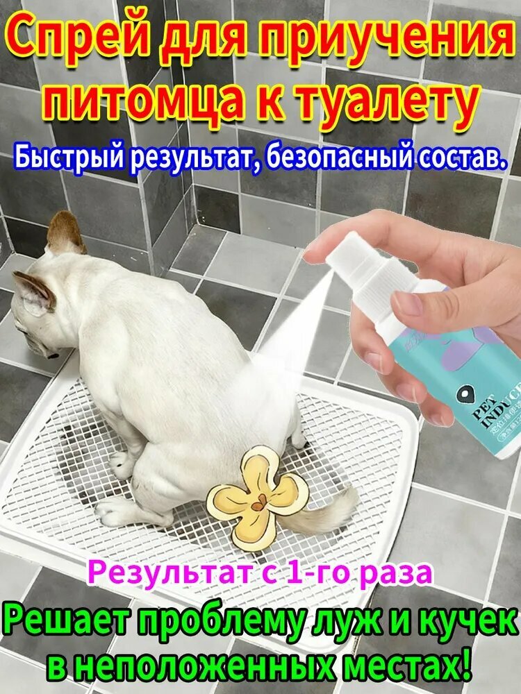 Корректор поведения для животных