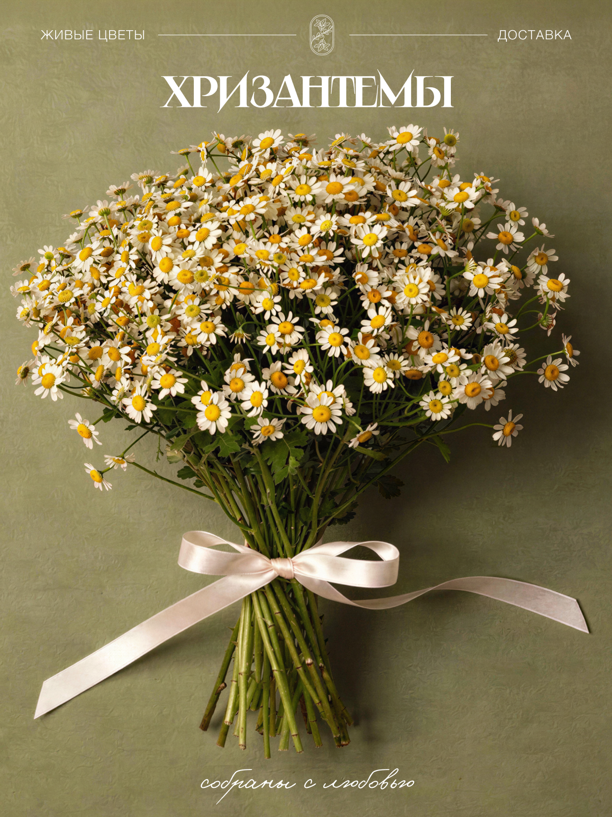 Букет живых цветов из 15 кустовых ромашек (хризантем)