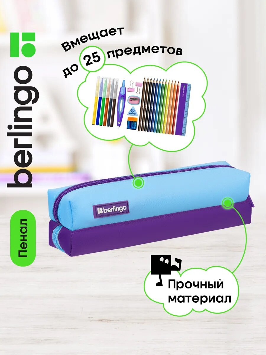 Пенал школьный Berlingo "Envy" для мальчика и девочки, 2 отделения