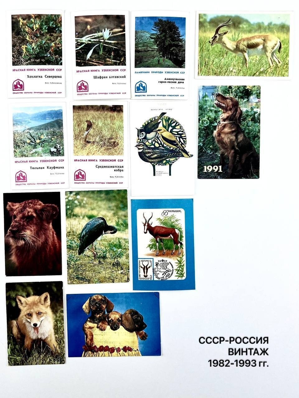 Винтажный набор календариков "Природа 0". Набор 13 шт. СССР, 1982-1993 гг.