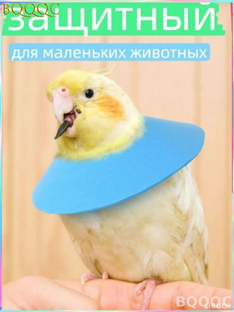 Съёмный воротник