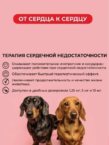 Авекардит 5 мг таблетки для лечения сердечной недостаточности у собак средних пород - 28 таблеток — фото 1