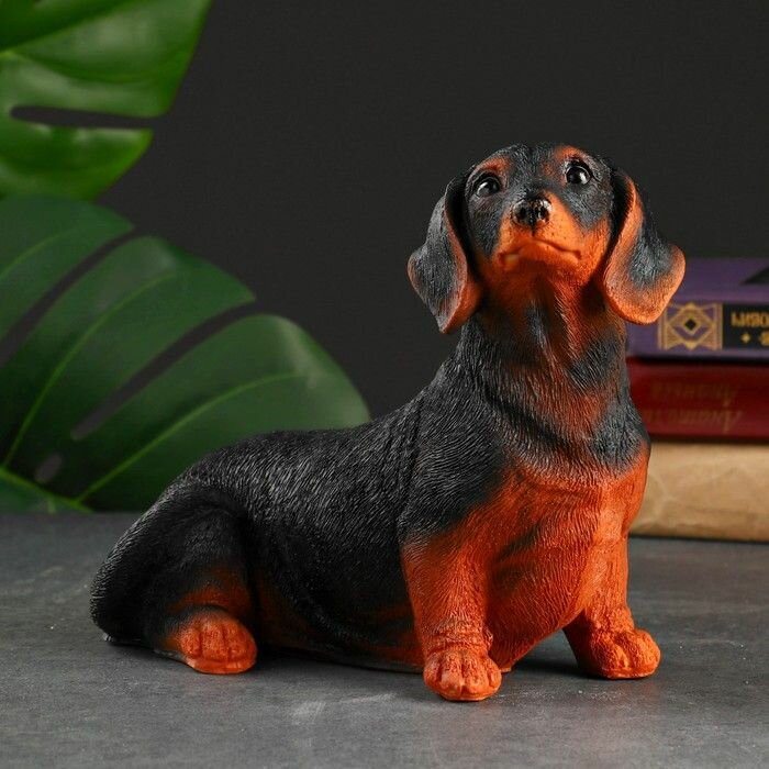 Фигура "Собака такса" черная, 20х20х12см
