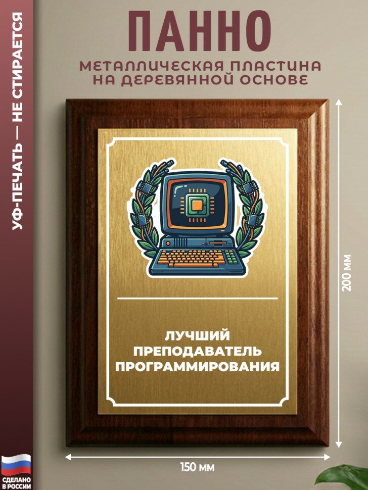 Настенный диплом "Лучший преподаватель программирования"