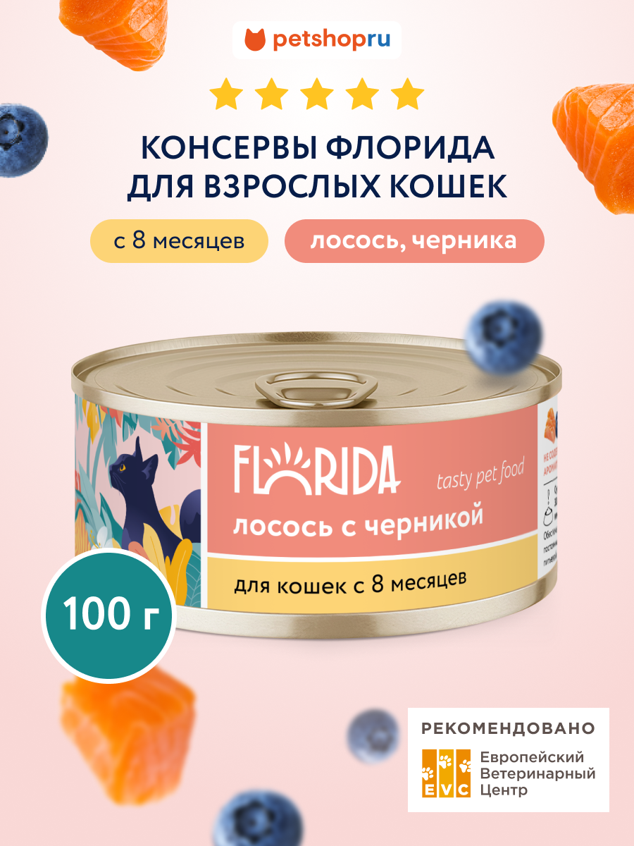 FLORIDA Консервы для кошек, лосось с черникой, 1 шт, влажный корм, 100 г