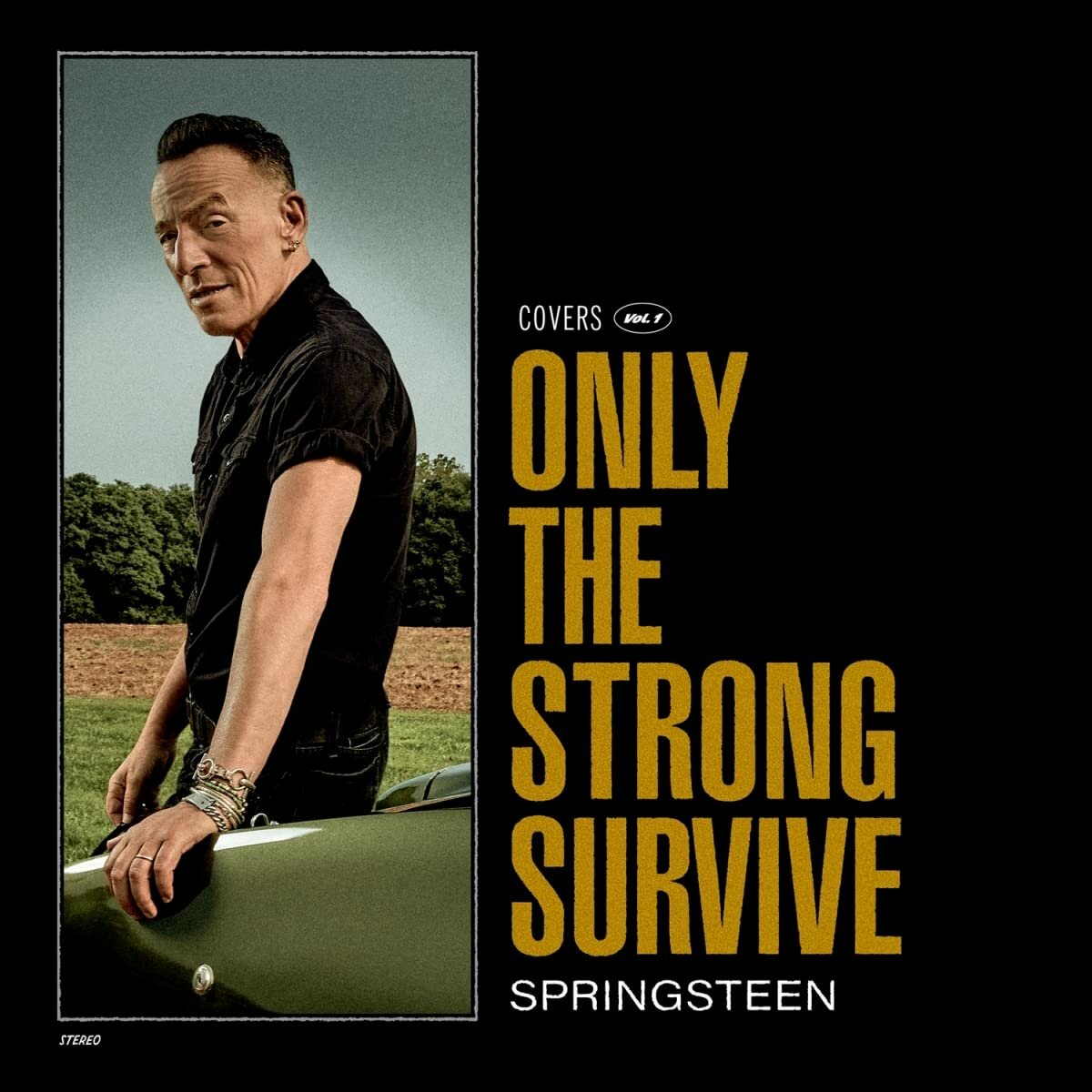 BRUCE SPRINGSTEEN Only The Strong Survive (2LP)