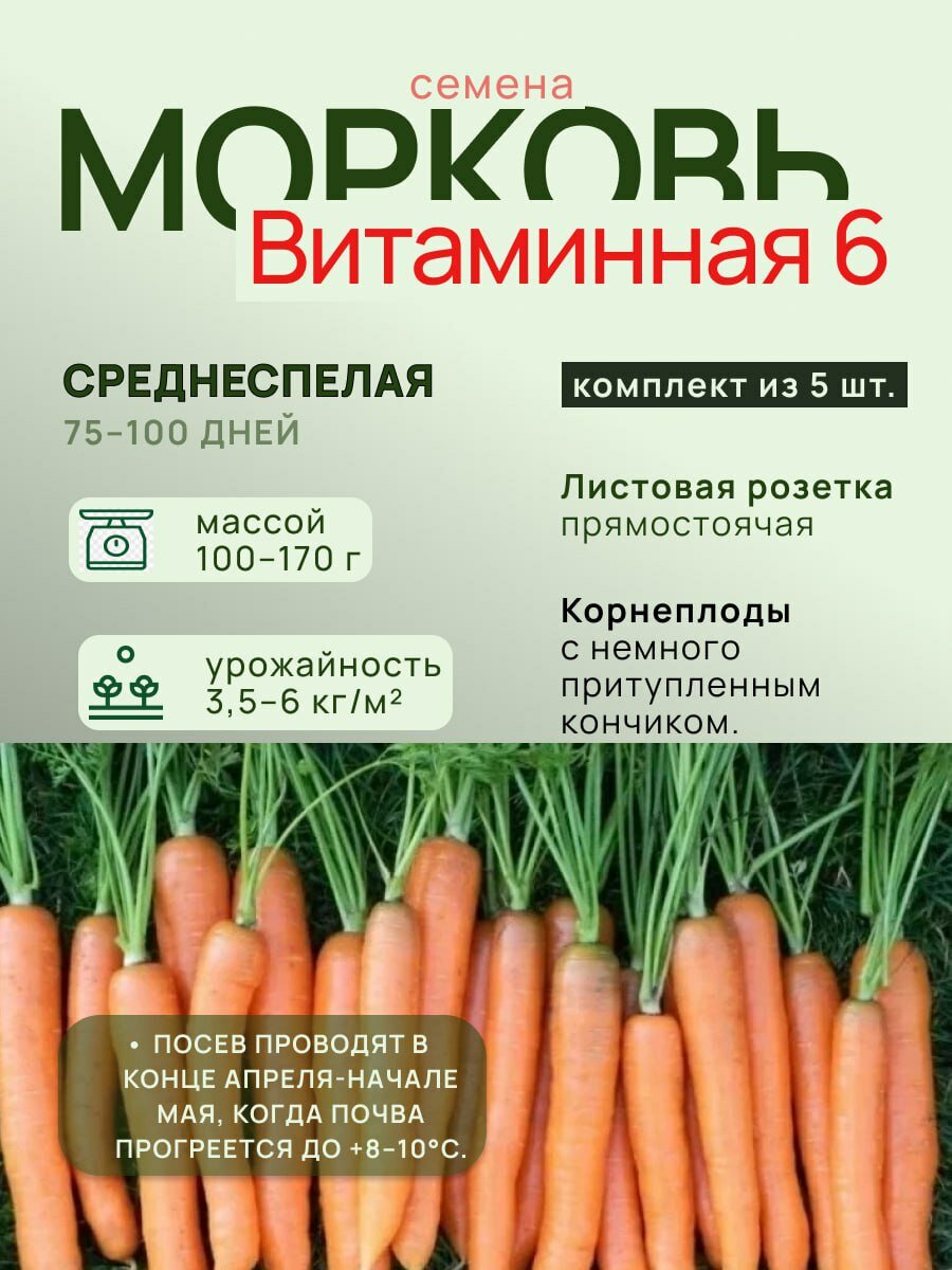 Семена моркови сорт "Витаминная 6", с высоким содержанием каротина, 5 пакетов