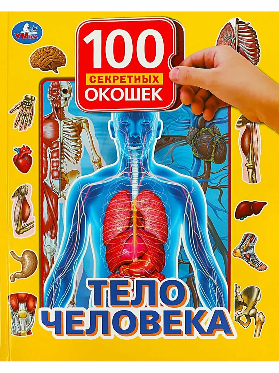 Тело человека. 100 секретных окошек