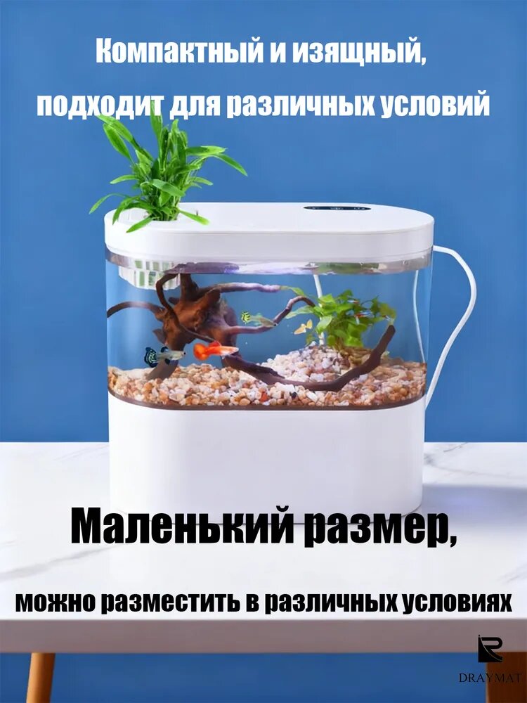 DRAYMAT Мини-аквариум с экосистемой: автономный (без подмен воды), питание 5В USB, LED-подсветка и гидропонная корзина, рекомендован новичкам, обзор 360