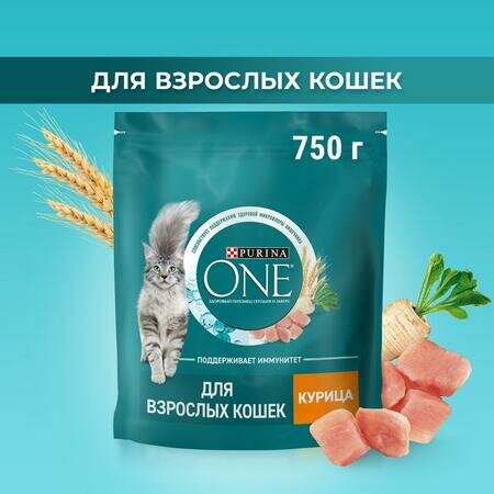 Purina ONE 2 шт по 750 г сухой корм для взрослых кошек, с высоким содержанием курицы и цельными злаками