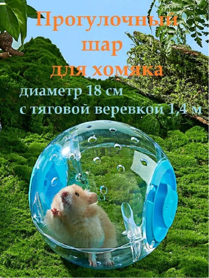 Игрушка для животных "Прогулочный шар", пластик, диаметр 18 см, голубой