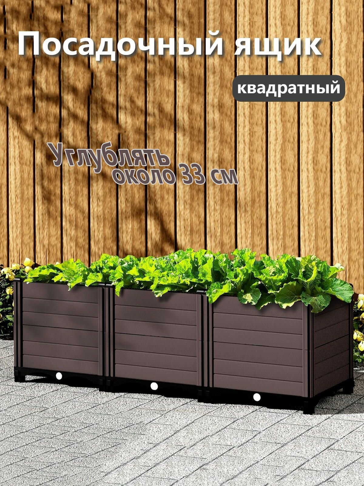 Вазоны