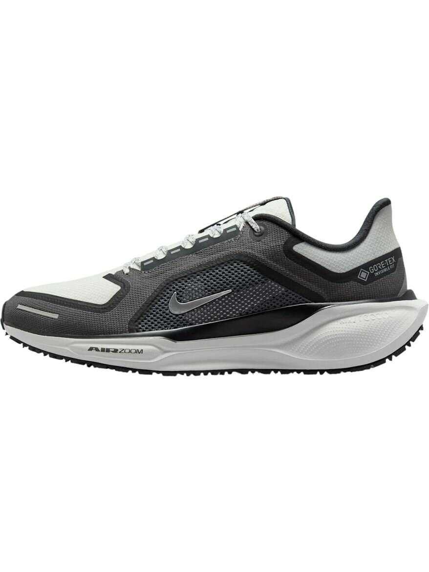 Кроссовки Pegasus 41 GORE-TEX