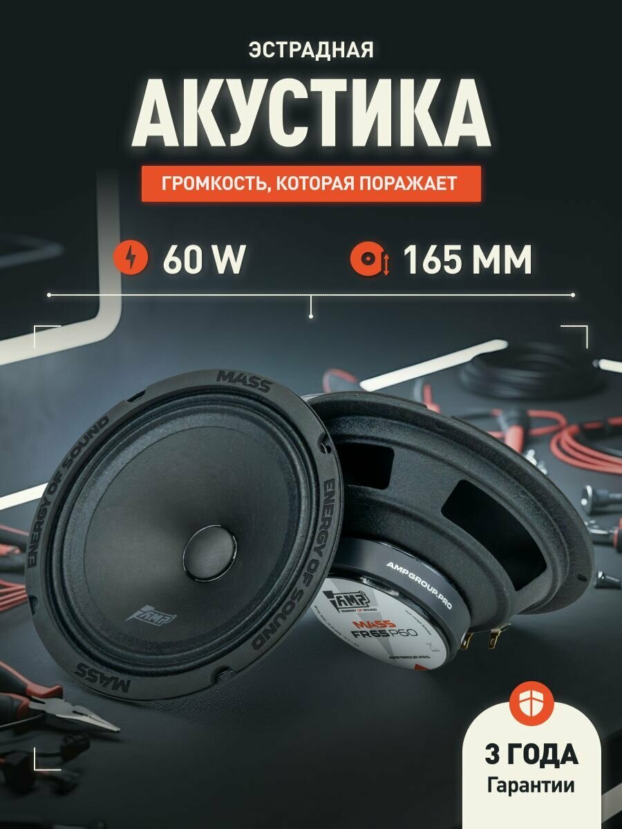 Динамики автомобильные 16 см AMP MASS FR65P60