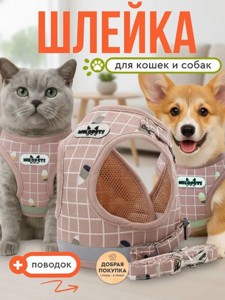 Шлейка для собак мелких пород и кошек MiloPets, с поводком, цвет бежевый