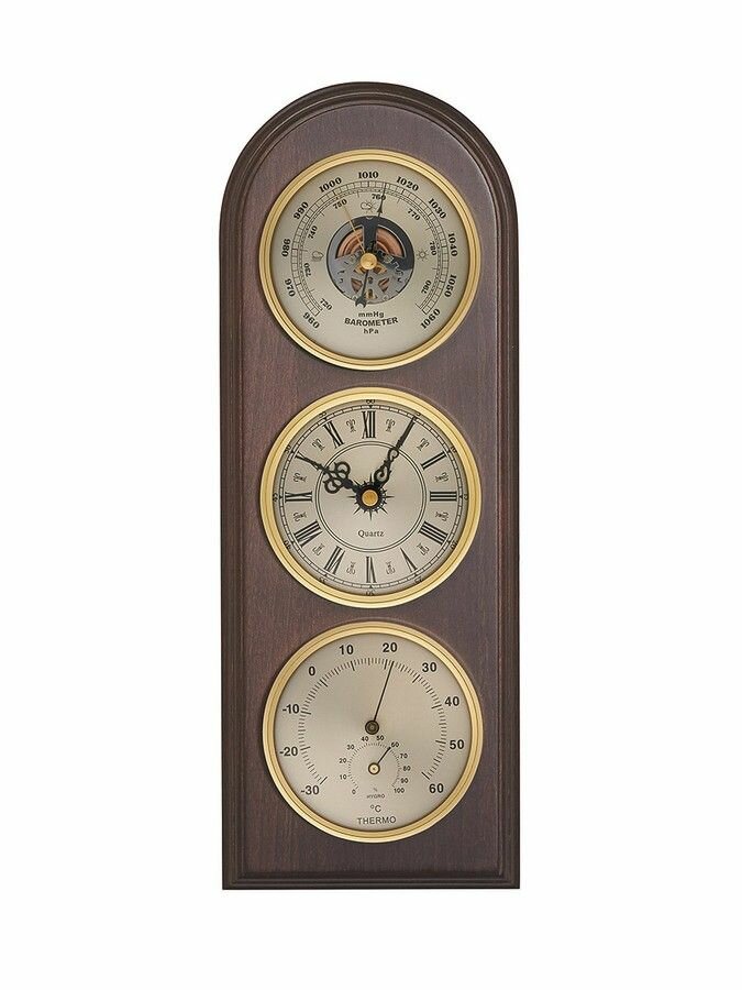 Метеостанция Бриг БМ93010-ЧБ(ТГ)-В