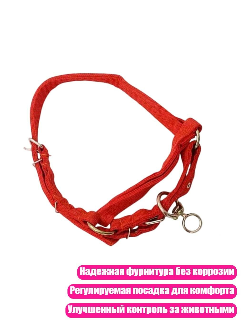 Контроллер скота, S