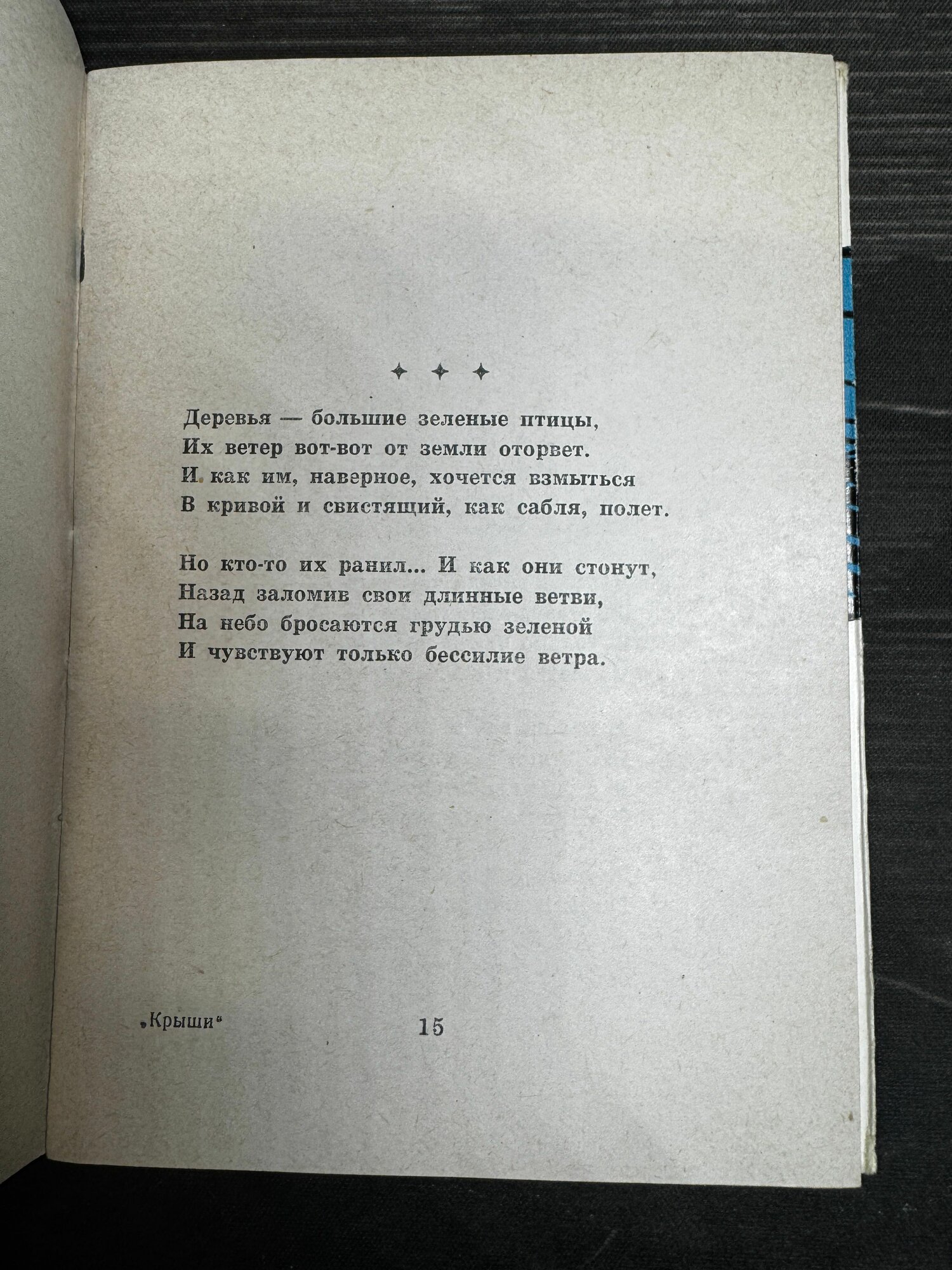 Крыши. Стихи — фото 1