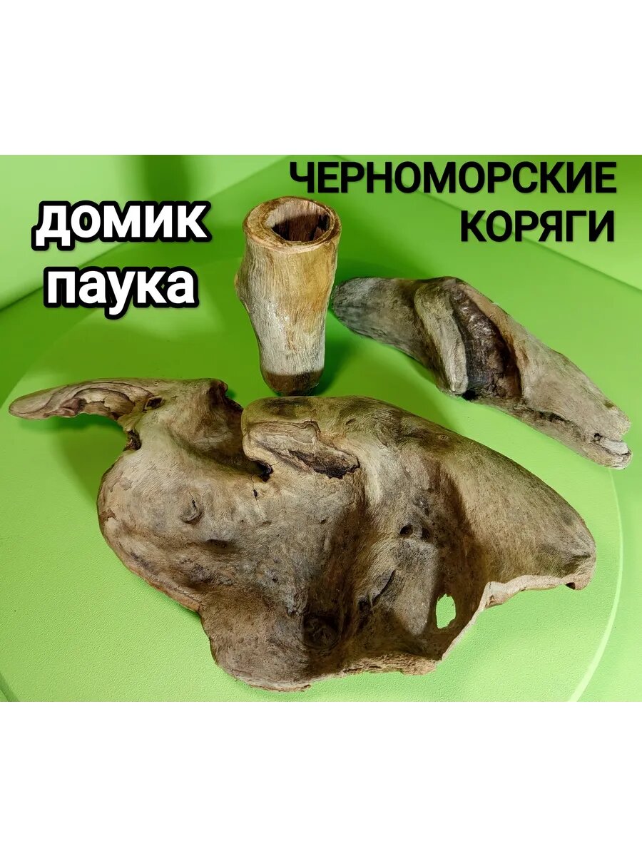 Коряга Черноморская домик паука для террариума, инсектариум