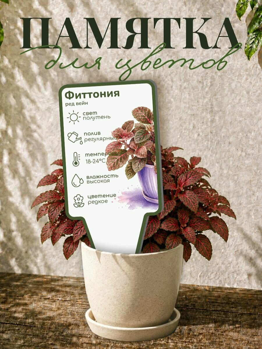 Фигурки для сада Фиттония