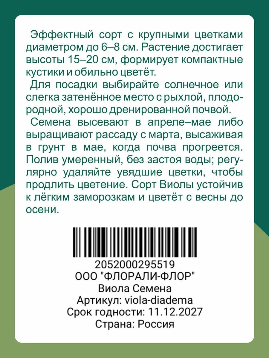 Виола Семена — фото 1