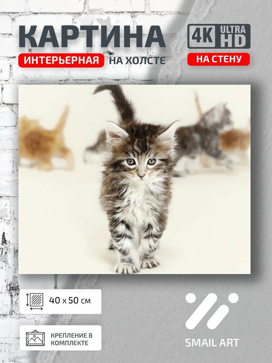 Картина на холсте интерьерная 40 на 50 на стену Котенок Animal для детской animal style