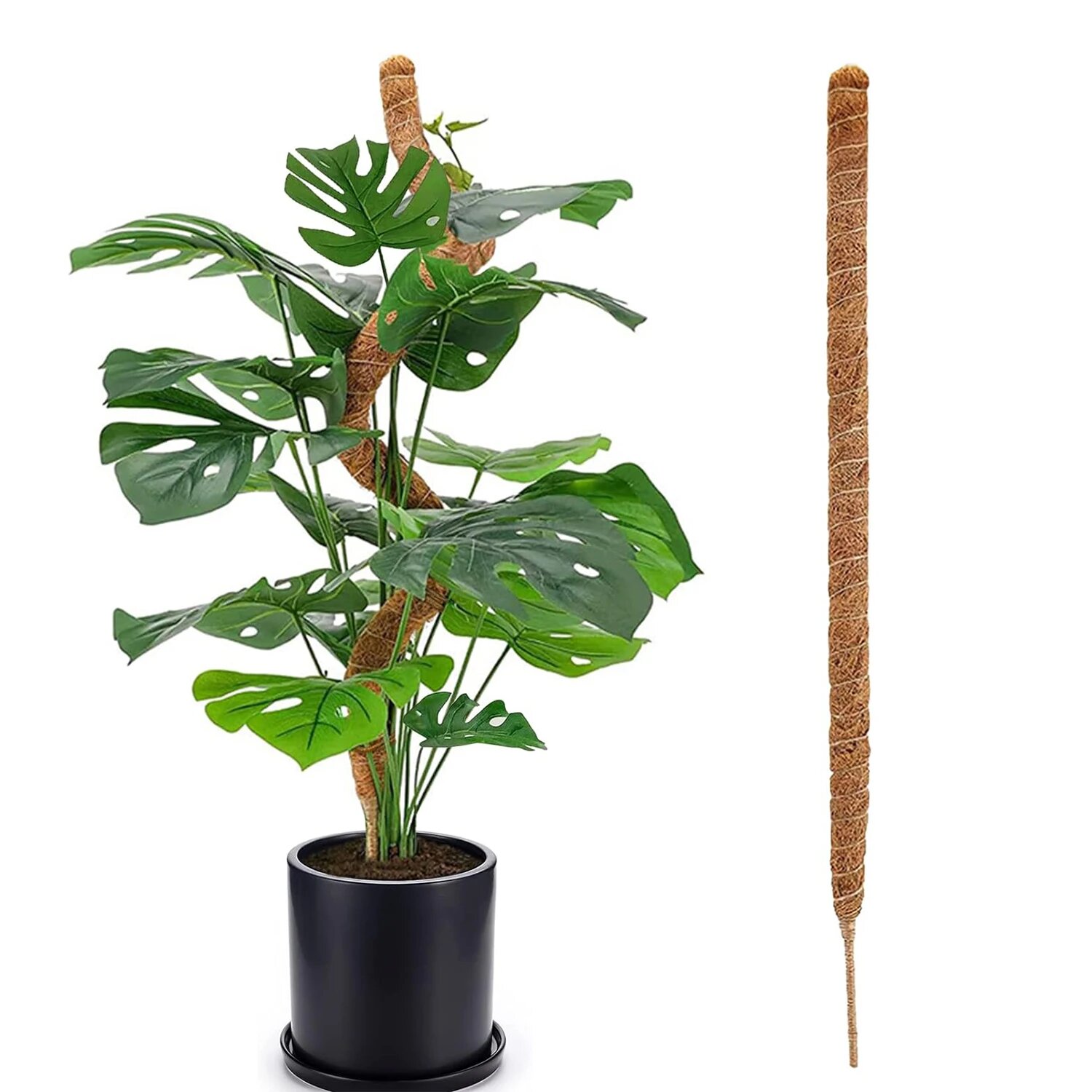 Опора для монстеры из кокоса, 80 см, Цвет: 1pcs