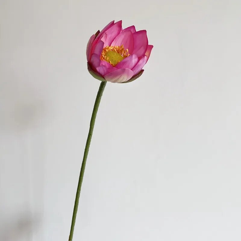 Искусственные шелковые лотосы белые/розовые Розовый, B2