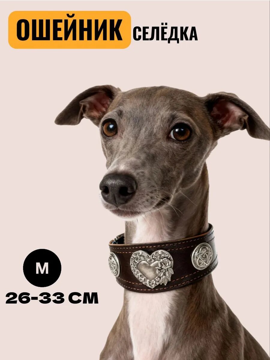 Dogbond ошейник-селедка для малых и средних пород