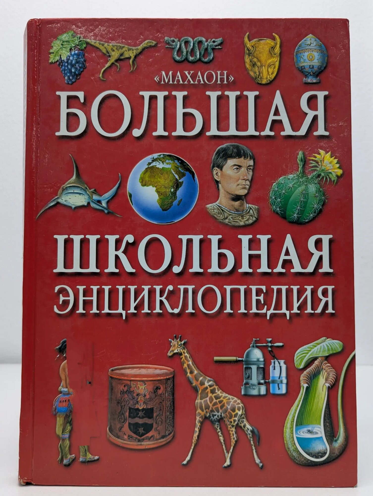 Большая школьная энциклопедия 2004