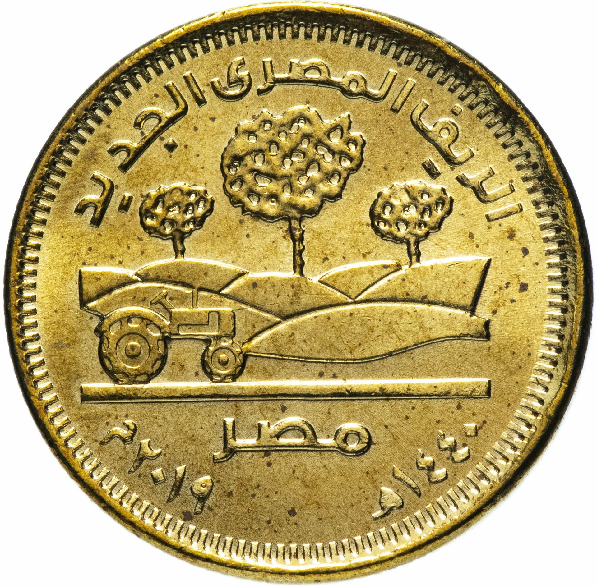 Египет 50 пиастров 2019 "Новая Египетская деревня", Сталь, в сохранности XF