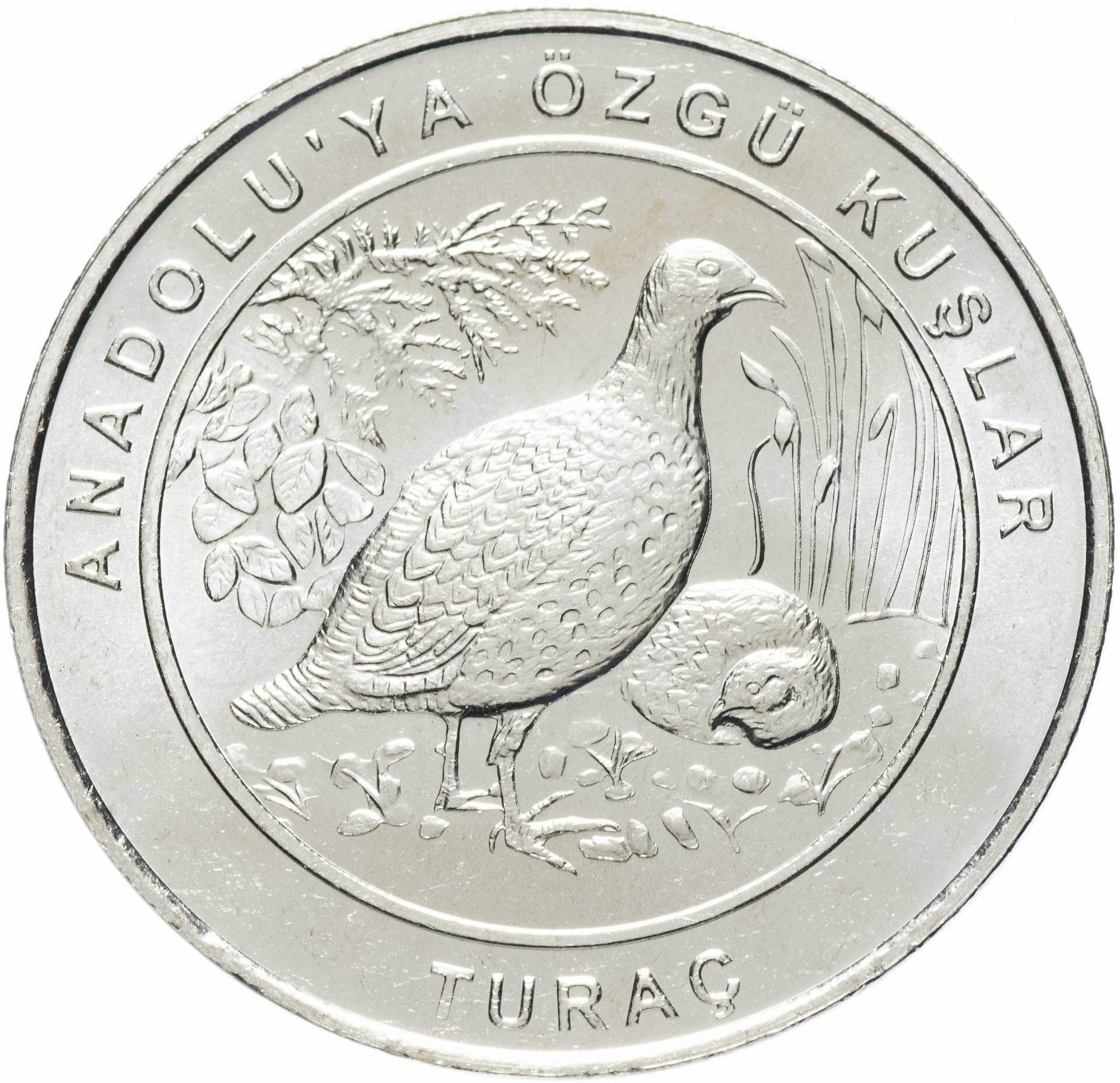 Турция 1 куруш, 2018 "Турач" Серия "Птицы Анатолии", Медь, в сохранности UNC