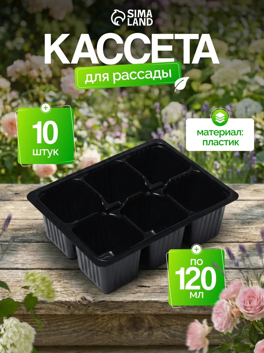 Кассета для рассады, 6 ячеек по 120 мл, пластик, чёрная, 18 × 13 × 6 см, набор 10 шт, Greengo