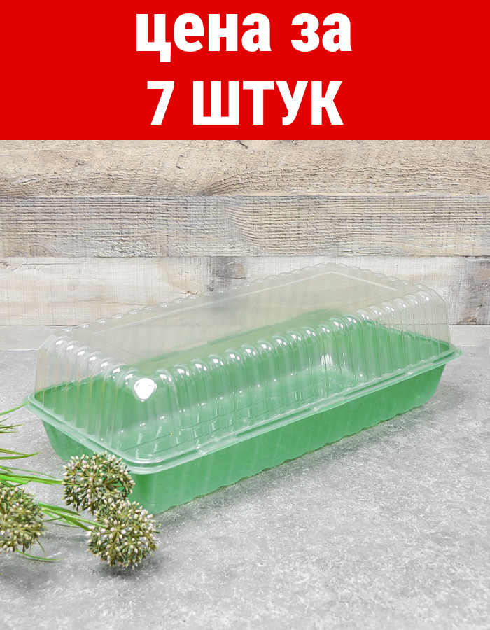 Комплект 7 шт, Парник для рассады 3 места, 44*22*6.5см (ВЗ*300, ДЗ*150)
