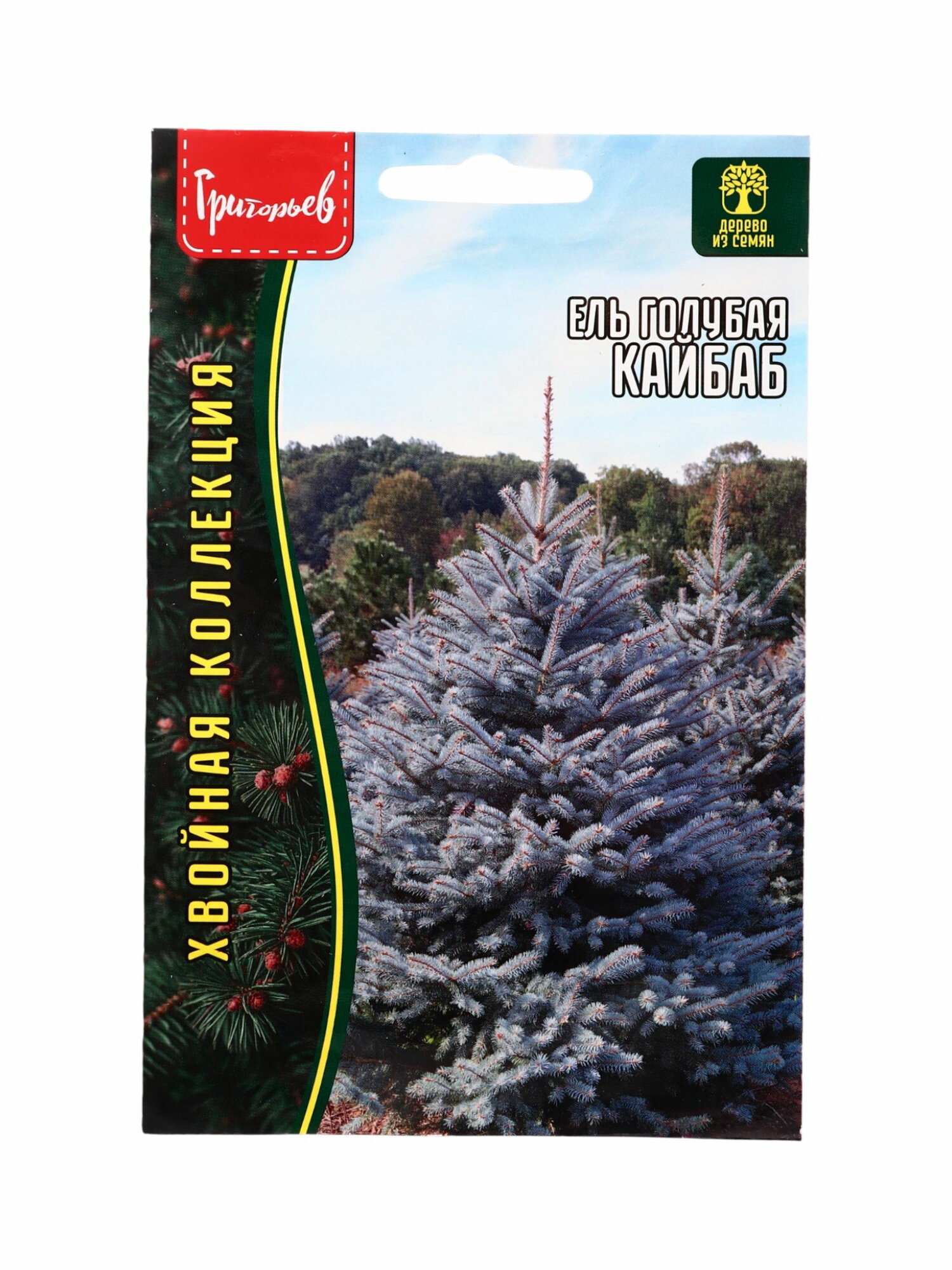 Семена Ель Кайбаб голубая, посев (посадка) в грунт: апрель, место выращивания: открытый грунт