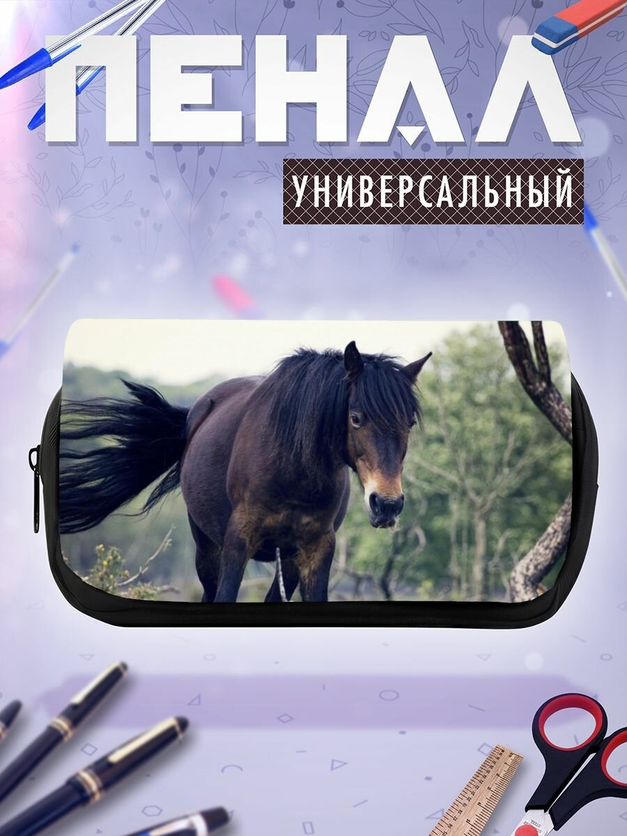 Школьный пенал конь дикая лошадь