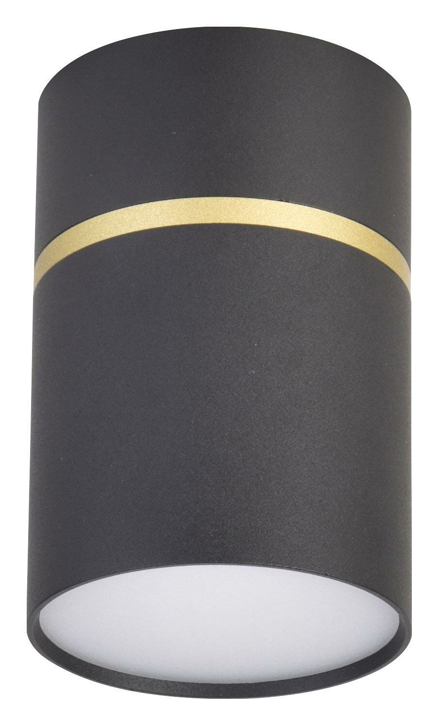 Накладной светильник Favourite Dunia 3068-1C цвет черный На монтажной пластине Техно