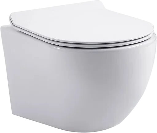 Унитаз подвесной Aquanet Tornado 332171 с микролифтом, безободковый, без бачка, фаянсовый, белый, глянцевый, овальный, сиденье для унитаза в комплекте