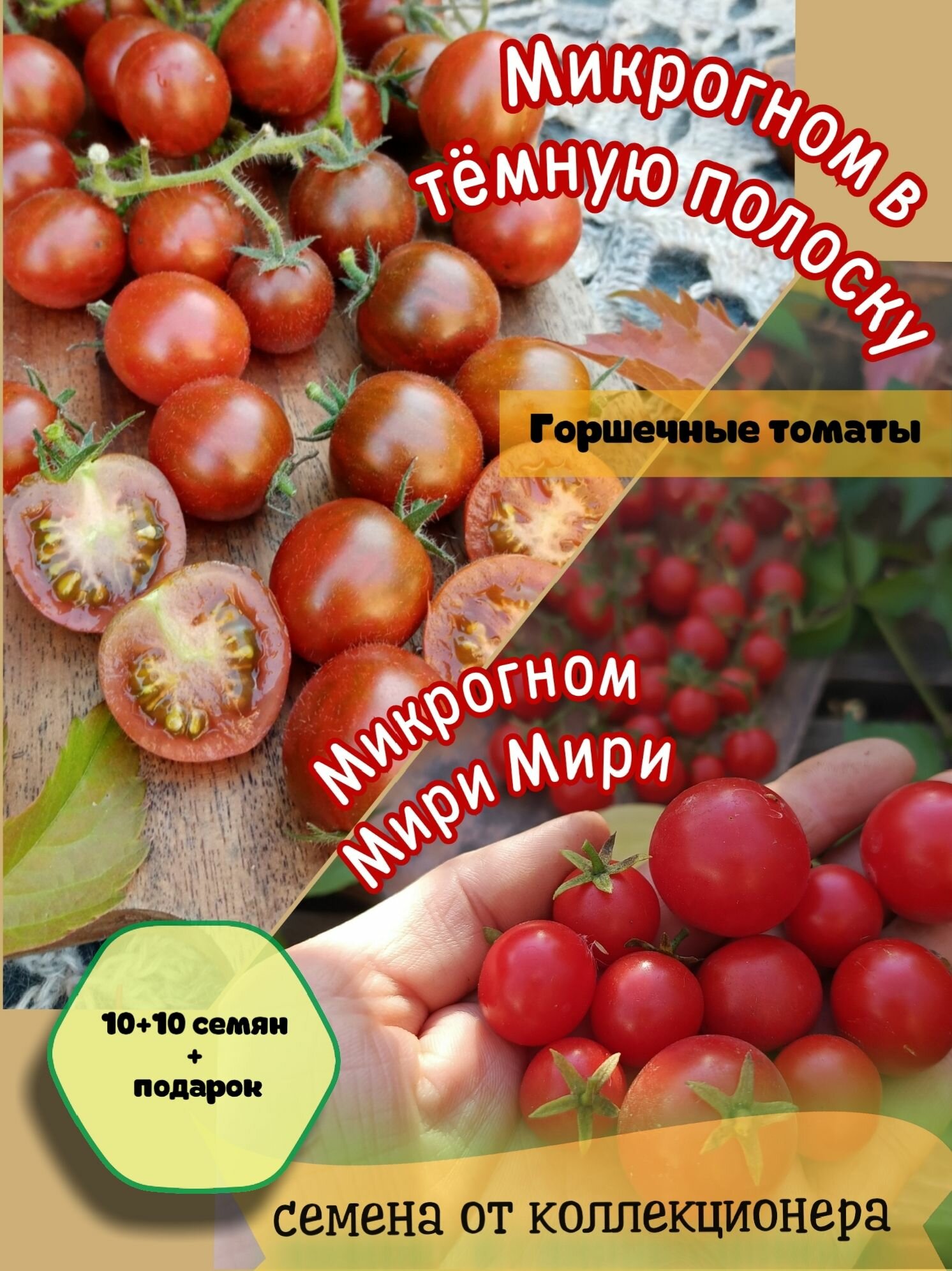 Микрогномы, "В тёмную полоску" и "Мири Мири", горшечные томаты