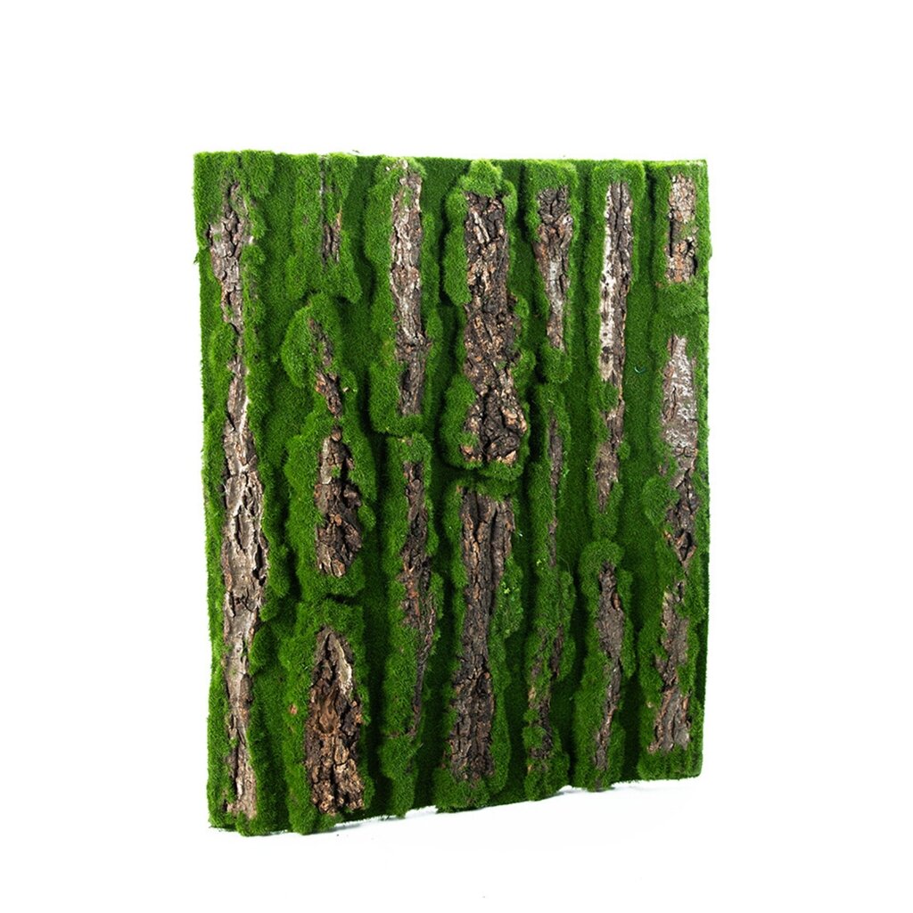 Фоновая доска для декораций из древесной коры и мха для террариумов Простая установка и обслуживание для украшения ящика для рептилий