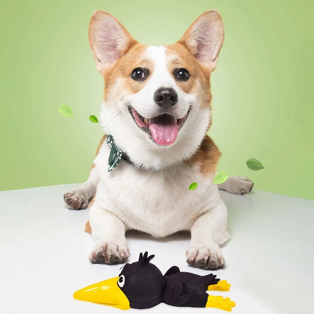 Собачьи игрушки, акустические игрушки, кричащие цыплята