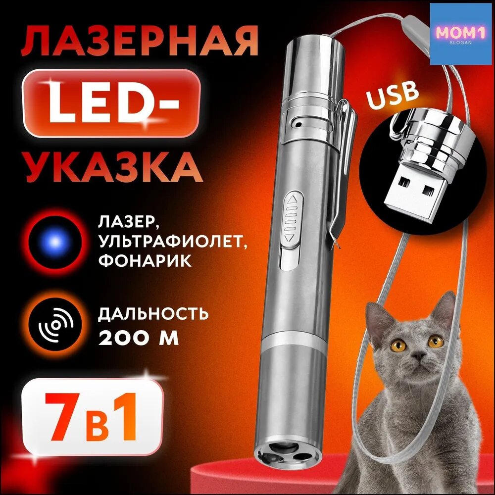 Эксклюзивный аксессуар для питомца