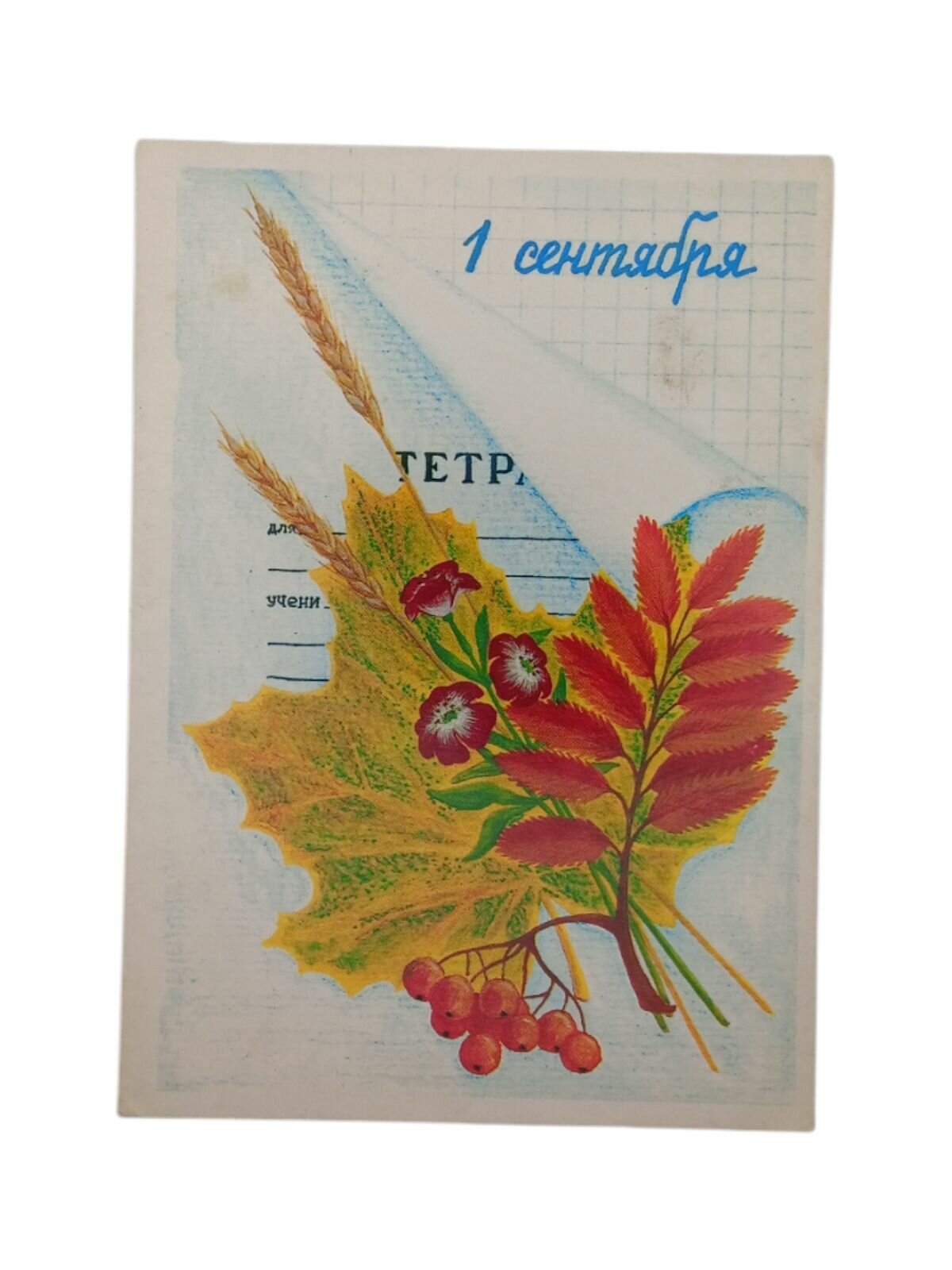 Советская почтовая открытка, 1 сентября! Художник Е. Самошин. Сделано в СССР. Чистая.