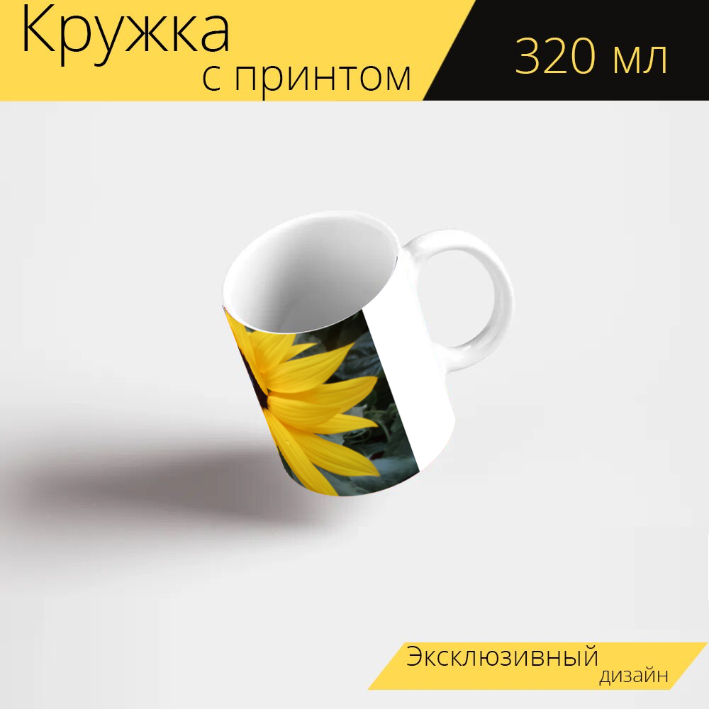 Кружка с рисунком, принтом "Подсолнечник, семена подсолнечника, большой цветок" 320 мл.