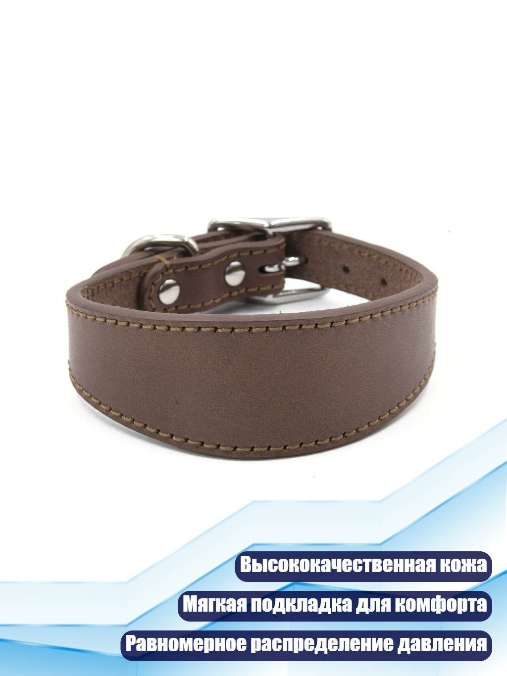 Кожаный ошейник для салюки, Коричневый - L